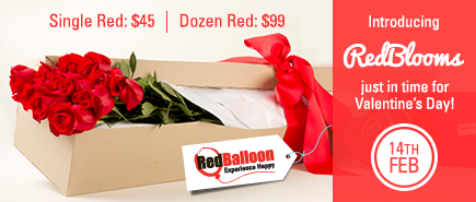 Valentine's Day Promotion - Online Shopping - Earn - RewardsCentral